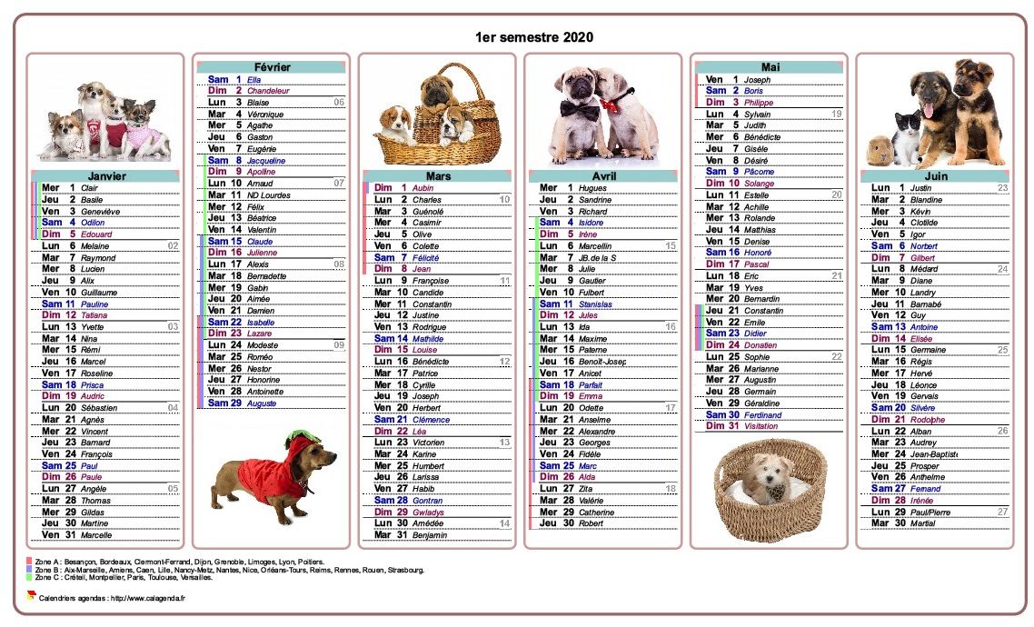 Calendrier 2020 Semestriel Chiens