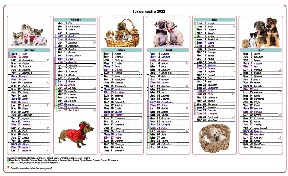 Calendrier 2022 Semestriel Chiens Calendrier 2022 Semestriel Chiens